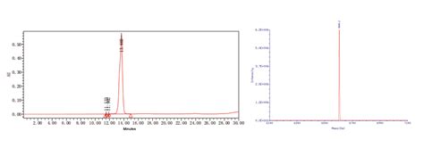 Rna Synthesis Rnai Products And Rna Synthesis Gencefe