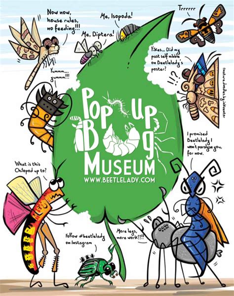 Pop Up Bug Museum 🐞 🦋 🪲 🐜 Imaginationk 8