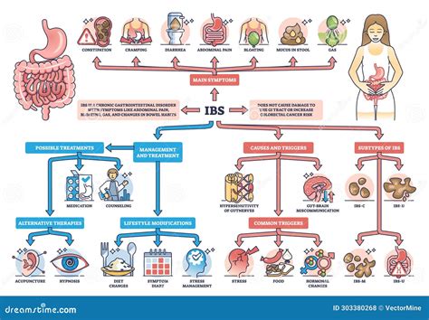 Ibs Symptoms Irritable Bowel Syndrome Infographic Stomach Digestive