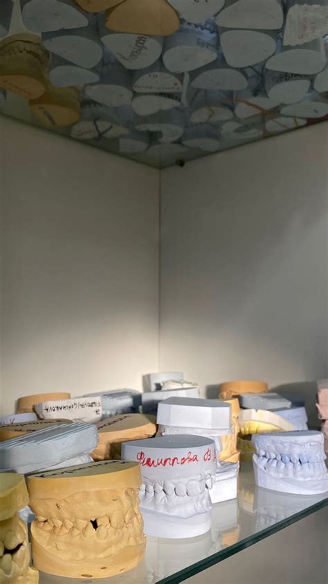 Эстетика стоматология 🦷 Стоматология Студенты медики Эстетика