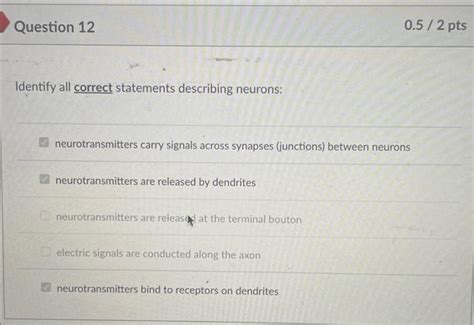 Solved Identify All Correct Statements Describing Neurons