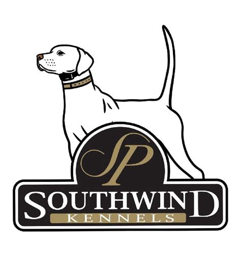 Solid Classy Pointers