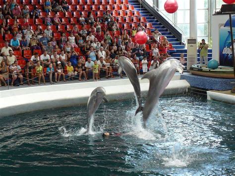 Забележителност Делфинариум Варна Варна