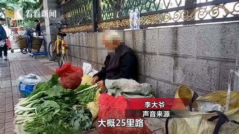 65岁大爷徒步25里路进城卖菜 凑钱给老伴治病 搜狐大视野 搜狐新闻