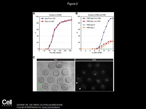 Volume 126 Issue 1 Pages July 2006 Ppt Download