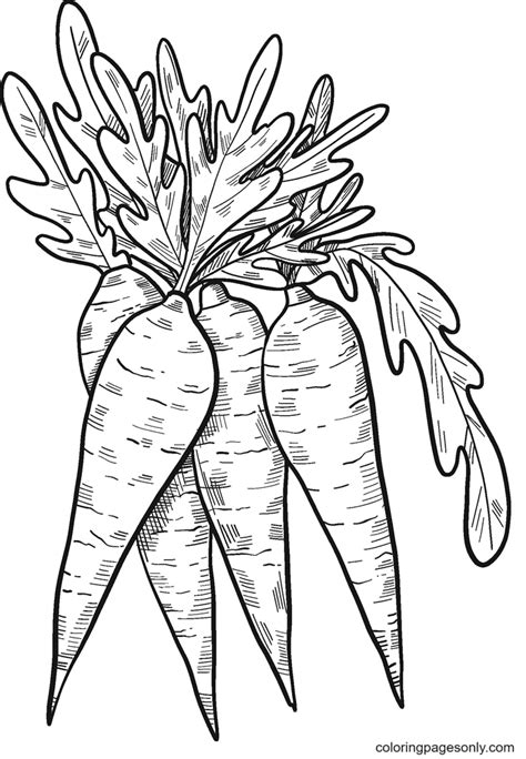 Root Vegetables Coloring Pages Coloring Pages