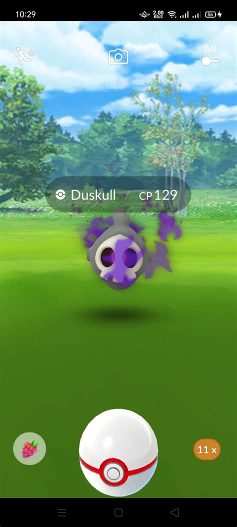 Shadow Duskull Doesnt Have The Costume For The Dia De Muertos Event