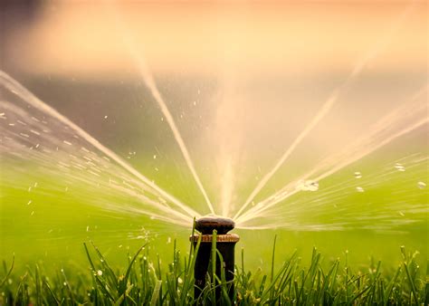 Top Sprinkler System