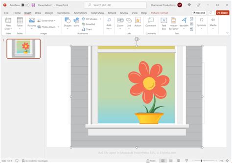 EMZ File What Is An Emz File And How Do I Open It