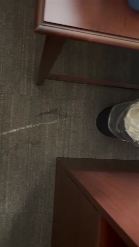 Piss Marking Hotel Room ThisVid Com