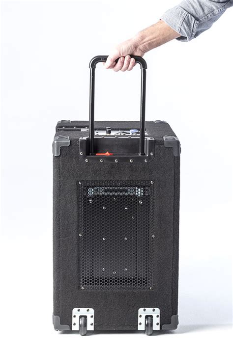 Wayne Jones Audio 1000 Watt 2x10 Powered Bass Cabinet Wayne Jones Audio