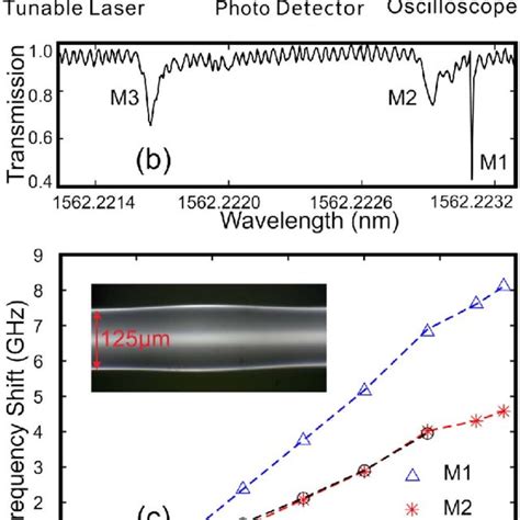 A Schematic Of The Experimental Setup Fpc Fiber Polarization