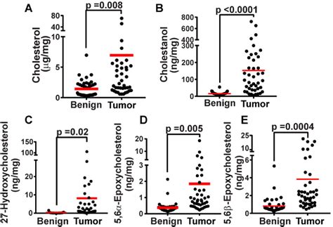 Figure 1 From Uptake Of Hdl Cholesterol Contributes To Lipid Accumulation In Clear Cell Renal