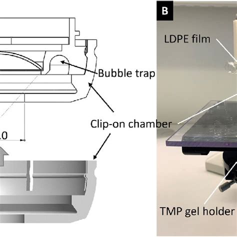 A Schematic Of The Transducer With A Clip On Coupling Medium Water Download Scientific