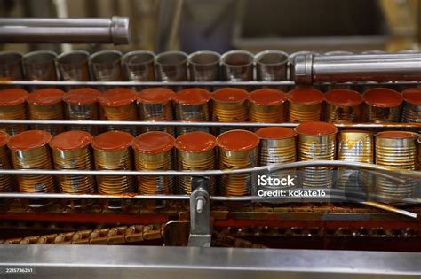 가공 식품 생산 통조림 생선 공장 식품 산업 생선 통조림 제조 공장 산업 알루미늄 캔에 포장 된 토마토 소스의 정어리 자동화 된 생산 라인 컨베이어 벨트 강철에 대한 스톡