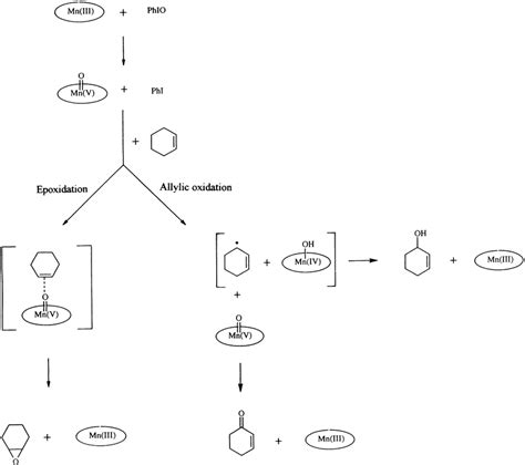 Schematic Representation Of The Reaction Pathways In Cyclohexene Download Scientific Diagram