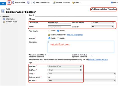 How To Create Entity Fields In Dynamics 365 Custom Fields