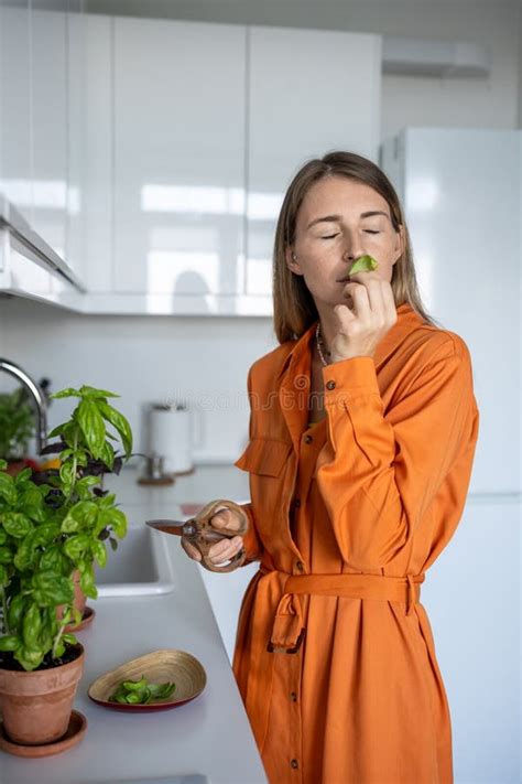 Woman Sniffs Home Grown Basil Leaf Female Gardener Enjoying Smell Of