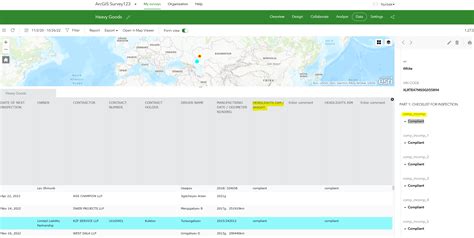 In Form View Shows Field Name Not Labelalias Esri Community