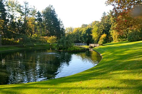 Waters Rising Pond Water