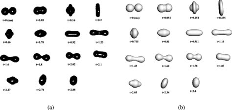Sequence Of Coalescence Observed For Binary Collision Of Equal Sized Download Scientific