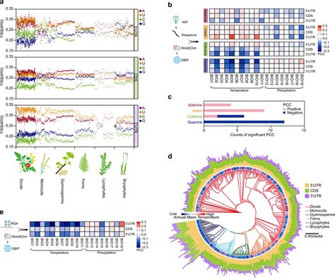 Comparison Of Transcriptomic Guanine G Frequencies And Rna Download Scientific Diagram