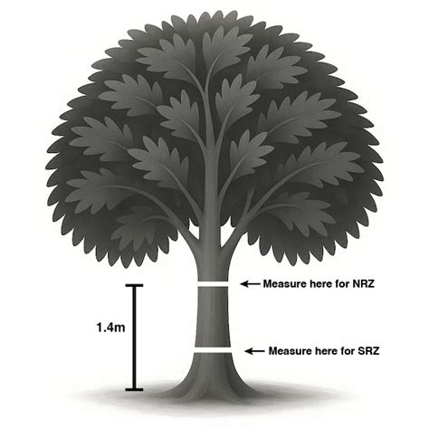 As4970 Smart Calculator