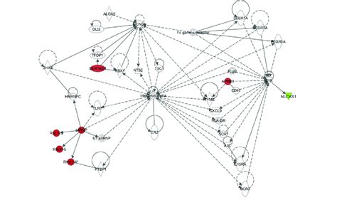 Ingenuity Pathway Analysis Showing A Network Of Known Functional Download Scientific Diagram