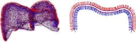 Figure From An RBF Partition Of Unity Method For Geometry Reconstruction And PDE Solution In