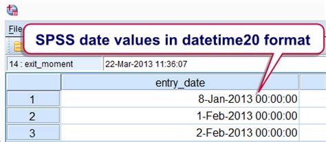 SPSS Datetime Variables Basics SPSS Datetime Variables Basics