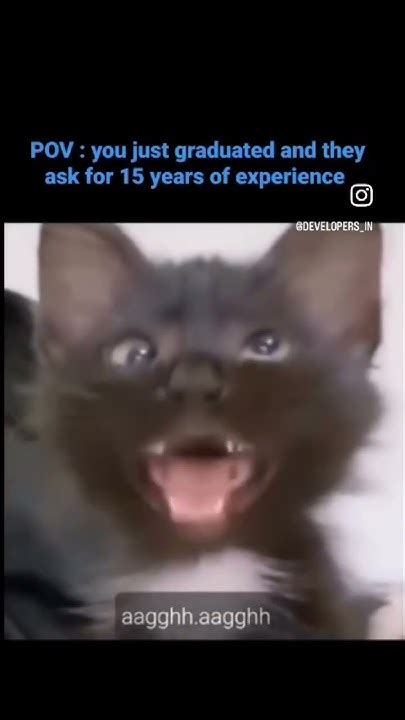 15 Years Of Experience Coding Softwaredevelopment Programming Shortsfeed Shorts Youtube