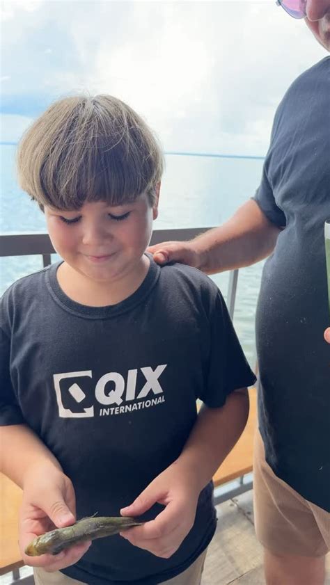 Samuel Vidal Samuelvidaldiaadiarural • Instagram Photos And Videos