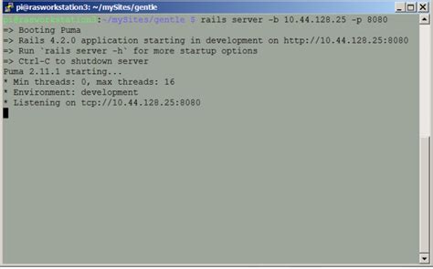 How To Access Ruby Web Server Such As Webrick Or Puma Rails Framework From Other Computers On