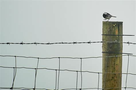 Ireland Photograph By Hiro Masuda Fine Art America