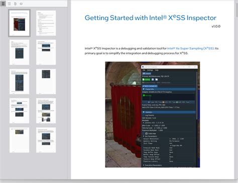 Intel XeSS Inspector