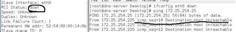 linux网桥与绑定配置 csdn博客