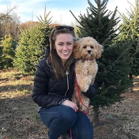 Paddington The Loving Cavapoo Puppy Mama