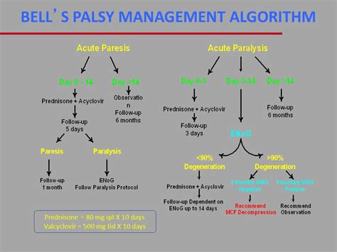 Bells Palsy Treatment Algorithm Iowa Head And Neck Protocols Carver College Of Medicine