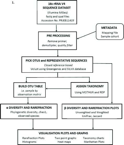 Schematic Flowchart Of The 16s Rrna Sequence Analysis Pipeline For The Download Scientific