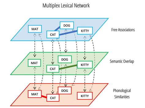 Mental Lexicon As Layers Like An Onion Psychonomic Society Featured Content