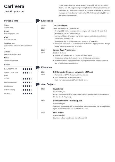 Programmer Resume Examples For 2024 Also For Entry Level