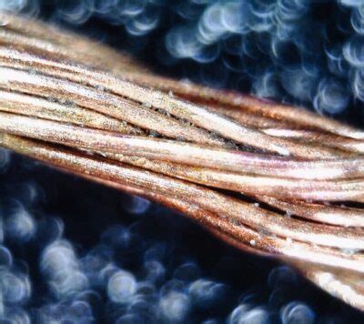 What Everyday Things Look Like Under The Microscope