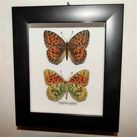 Украшение настенное интерьерное Аглая в рамке купить по доступным ценам в интернет магазине