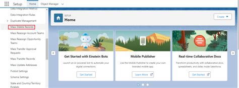 How Mass Delete Records In Salesforce Forcelearn