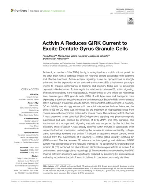 Pdf Activin A Reduces Girk Current To Excite Dentate Gyrus Granule Cells