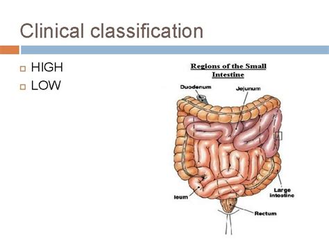 Intestinal Obstruction Types Of Intestinal Obstruction Dynamic Where