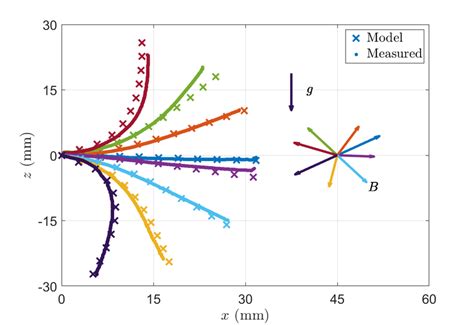 Experimental Versus Model Predicted Shape Of The Ball Chain Robot