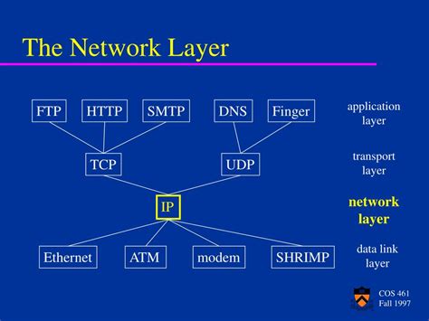 Ppt The Network Layer Powerpoint Presentation Free Download Id4998405