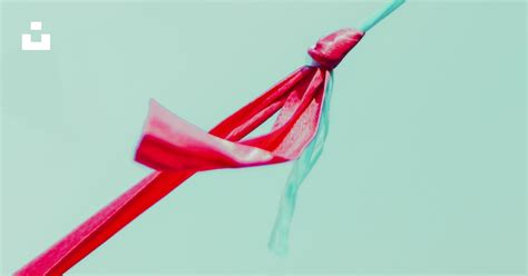 녹색 밧줄이 있는 빨간 우산 사진 Unsplash의 무료 밧줄 이미지