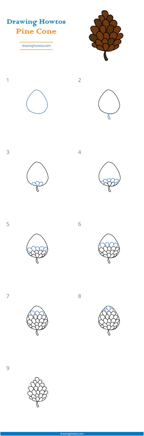 How To Draw A Pine Cone Step By Step Easy Drawing Guides Drawing Howtos